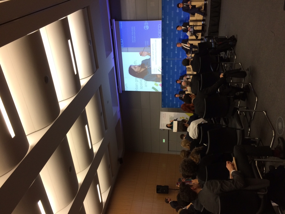 Prof. dr Ana Bovan na skupu OECD u Parizu - Univerzitet Metropolitan